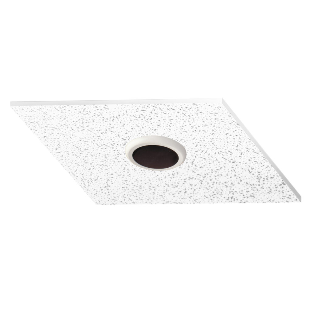 PoE Powered LED IR Illuminators & White Floodlights, Outdoor...