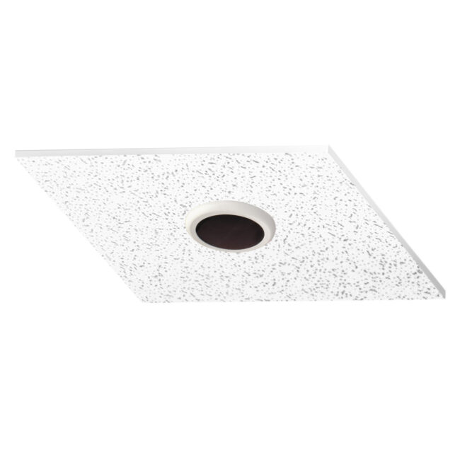 PoE Powered LED IR Illuminators & White Floodlights, Outdoor...